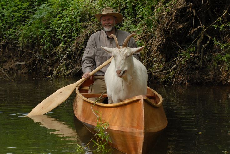 A Man, A Goat, And A Boat Meets Generative AI - Kick Cyber Security ...